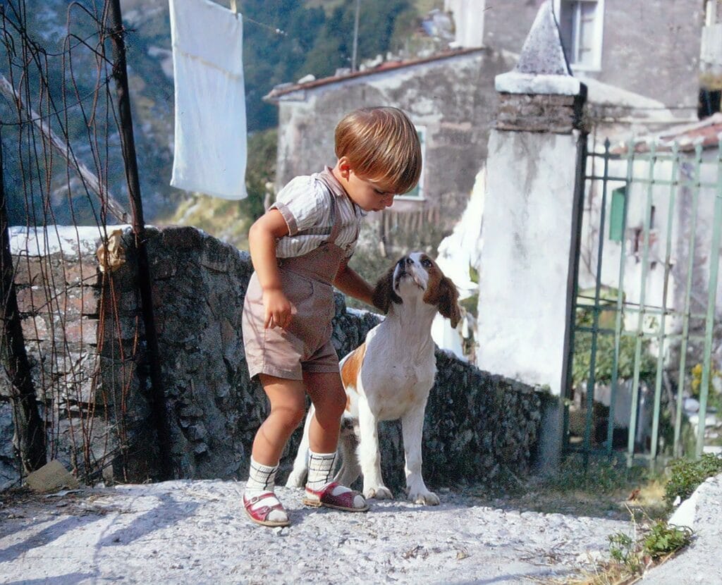 About - The Golden Boot